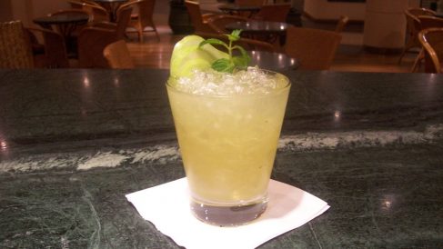 Disfruta en casa de un refrescante trago de vodka frizz