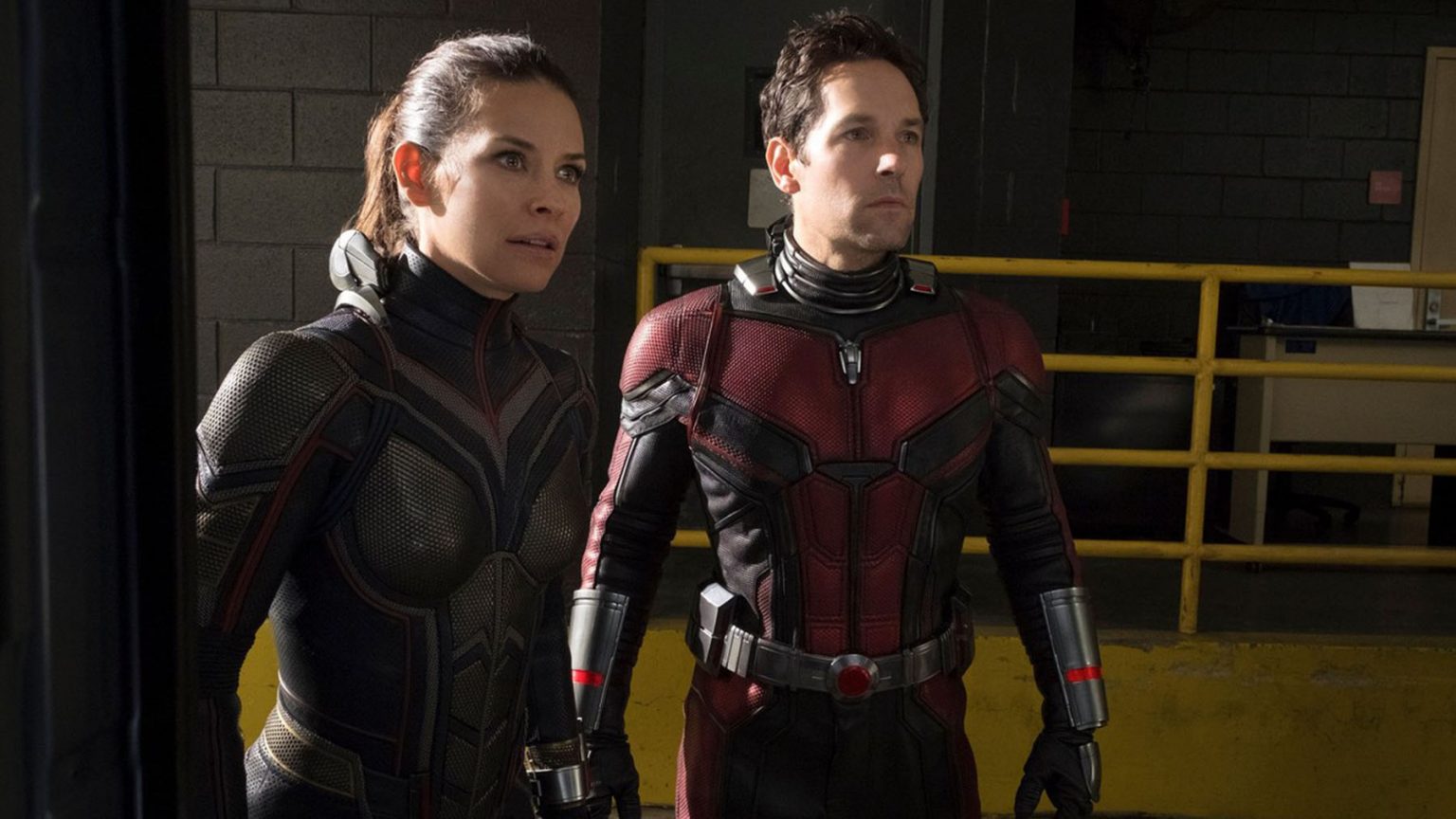 'Ant-Man y la Avispa: Quantumania', una película clave en la Fase 5