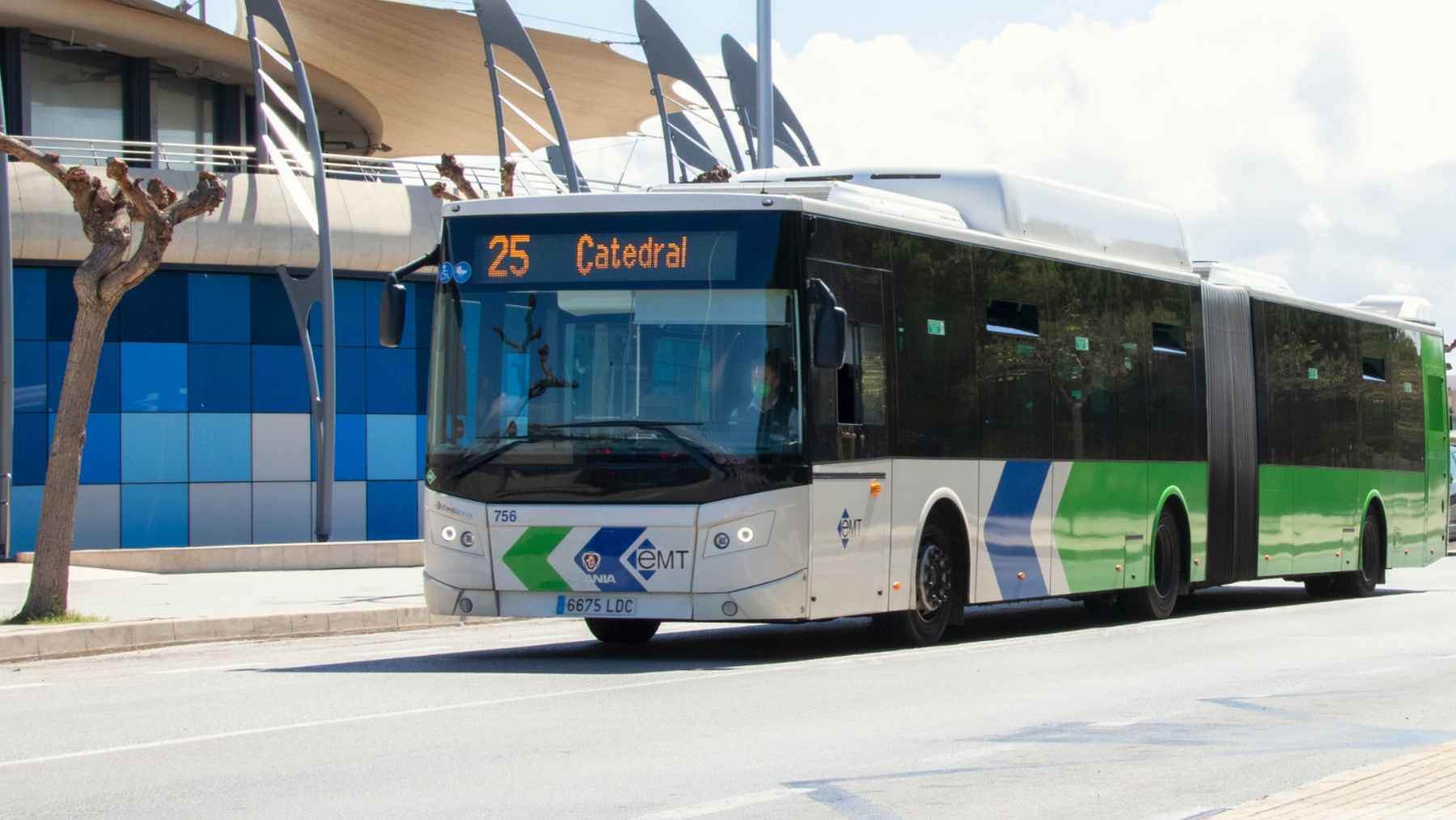 Los abonos de la EMT Palma cuestan la mitad desde el 1 de septiembre