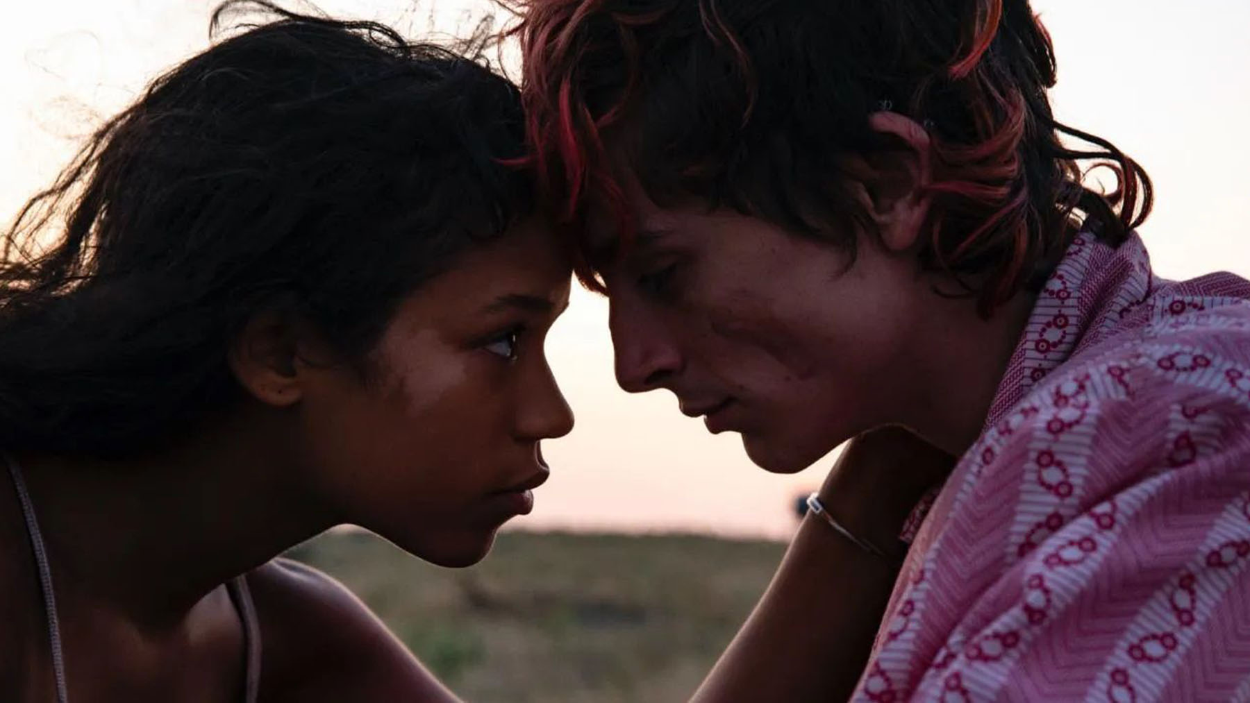 Tráiler de 'Hasta los huesos: Bones and All', el romance caníbal de ...