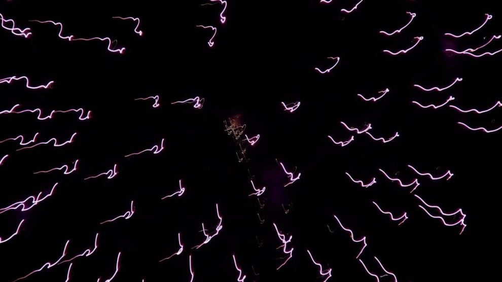 ¿Cuál es la pareja ideal para un óvulo?