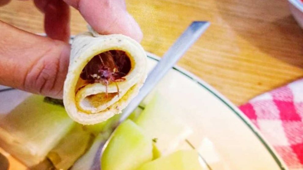 ¿Qué era la entomofagia en la antigüedad?