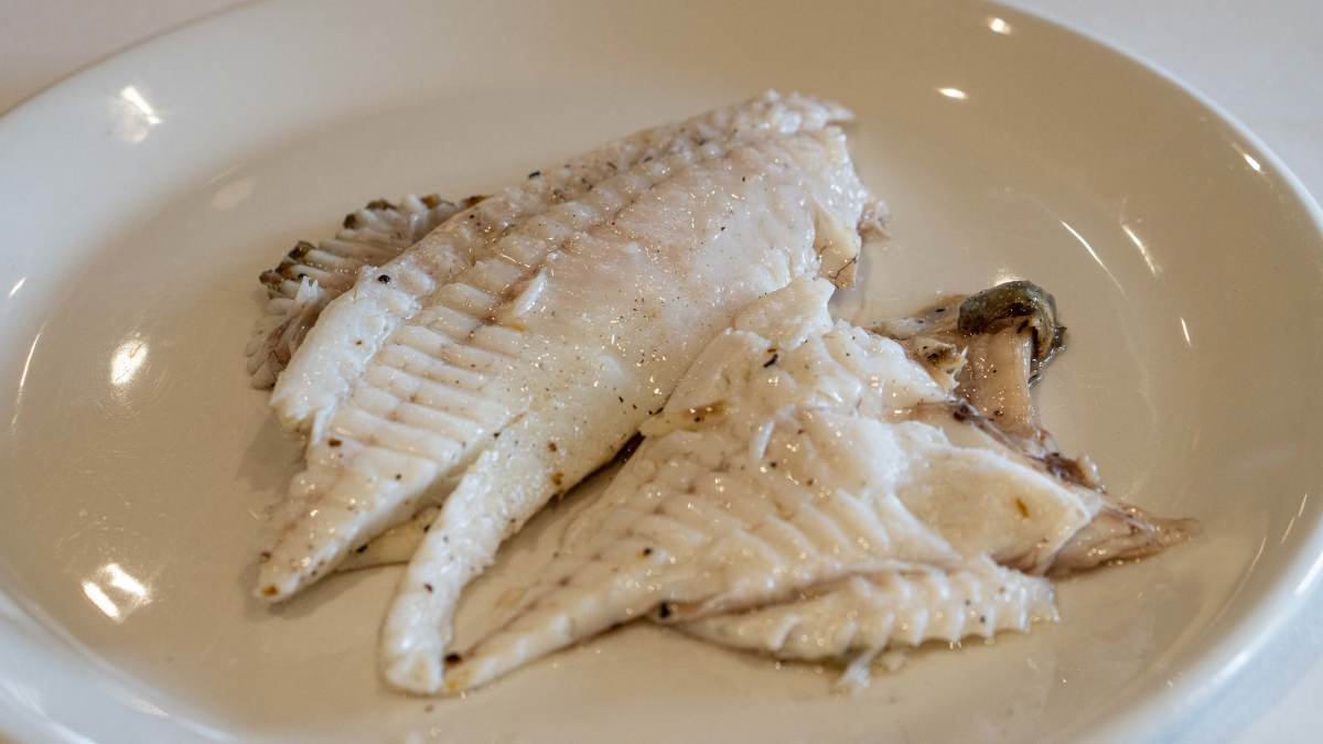 Rollitos de rodaballo, receta casera