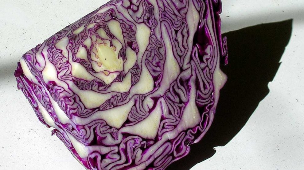 Ensalada de lombarda con coco y piña, un toque tropical