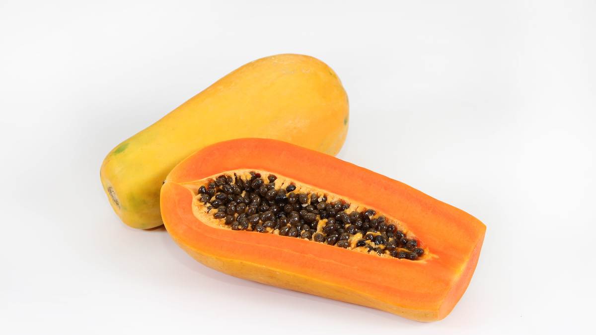 Receta casera de flan de papaya