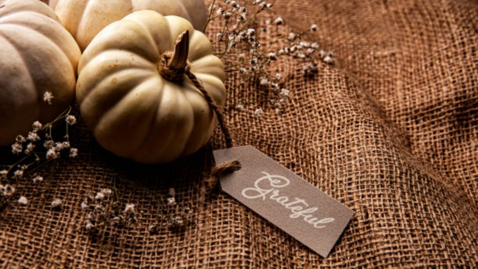 ¡Feliz Día de Acción de Gracias! Las mejores frases e imágenes para ...