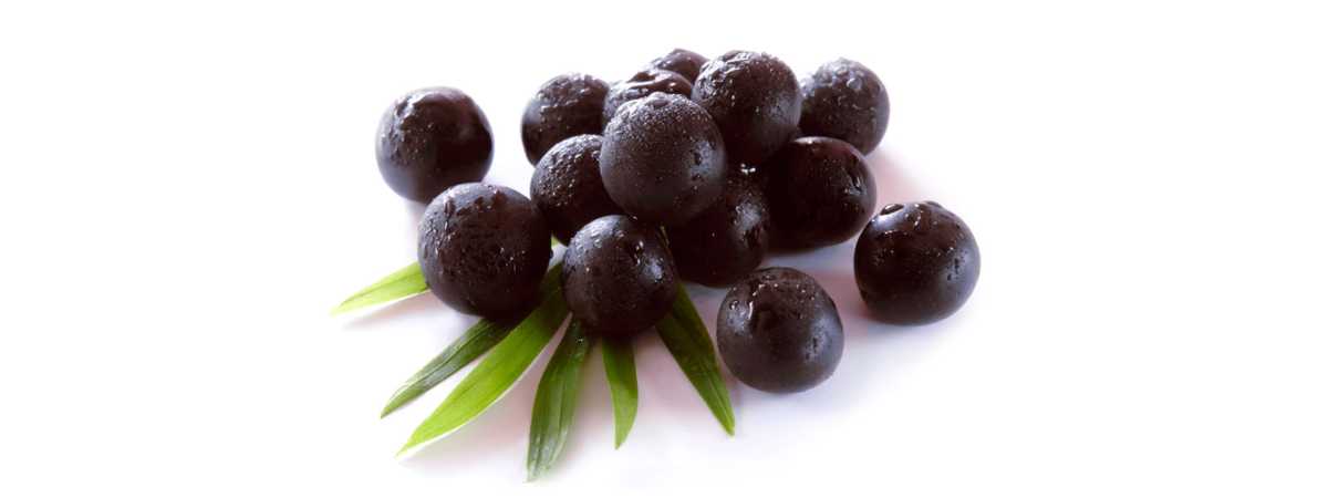 Conoce asaí, la nueva fruta asiática plagada de nutrientes