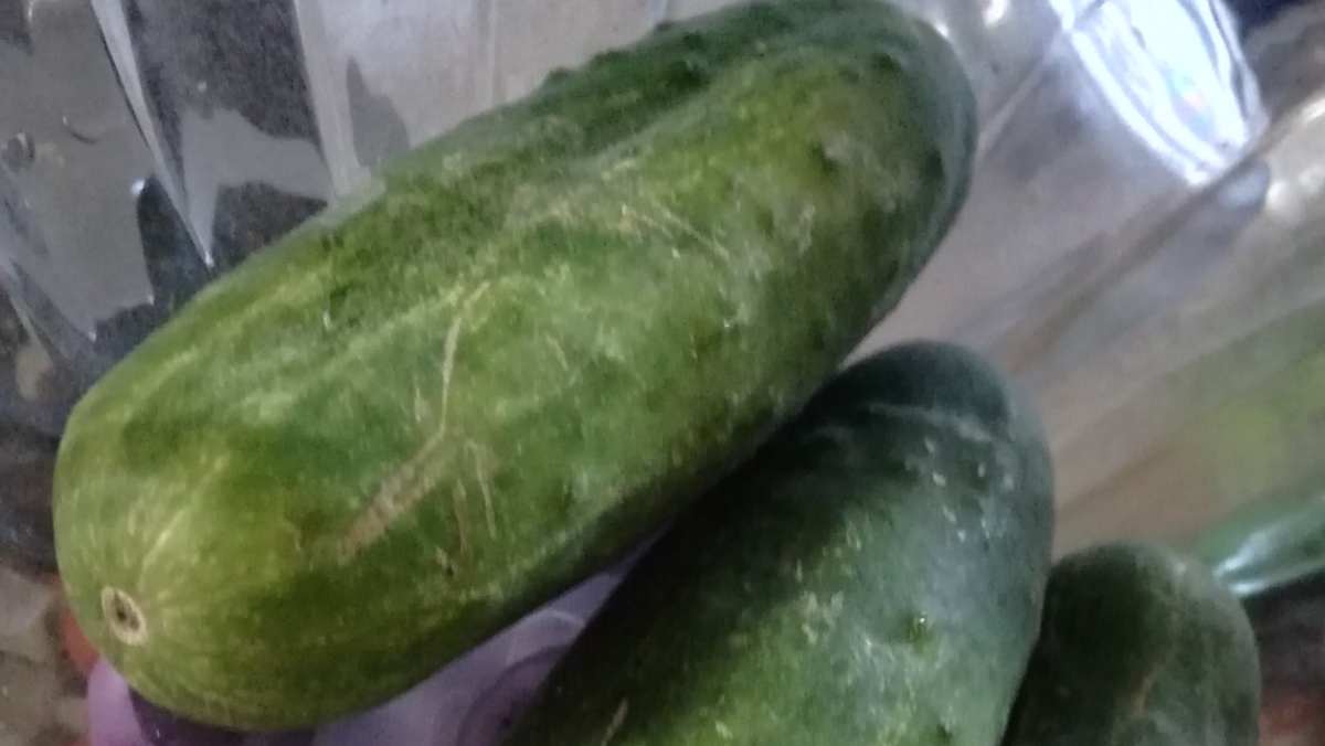 Rollitos de pepino rellenos de salmón y queso