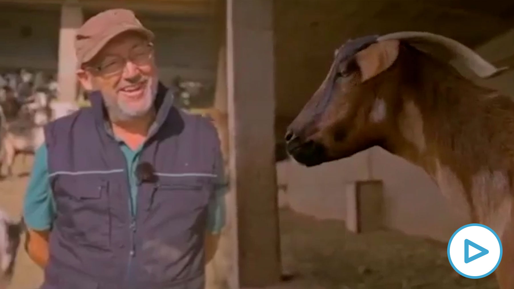 Tito Berni soñaba con retirarse a cuidar de sus cabras cuando el PSOE ...