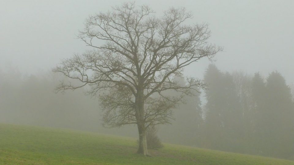 ¿En qué consiste la niebla, cómo se origina?