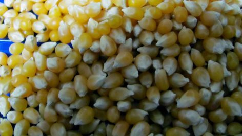 Prueba estos esquites mexicanos