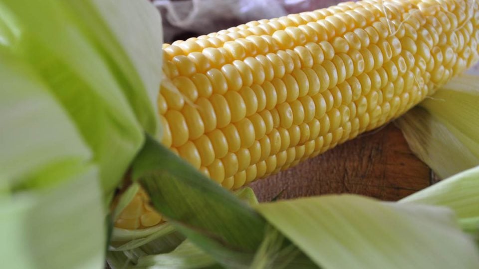 Pastel peruano de choclo