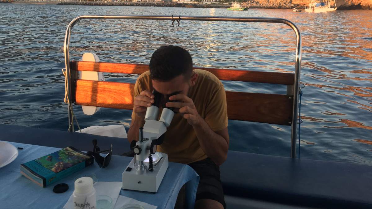 ¿Qué es la oceanografía?