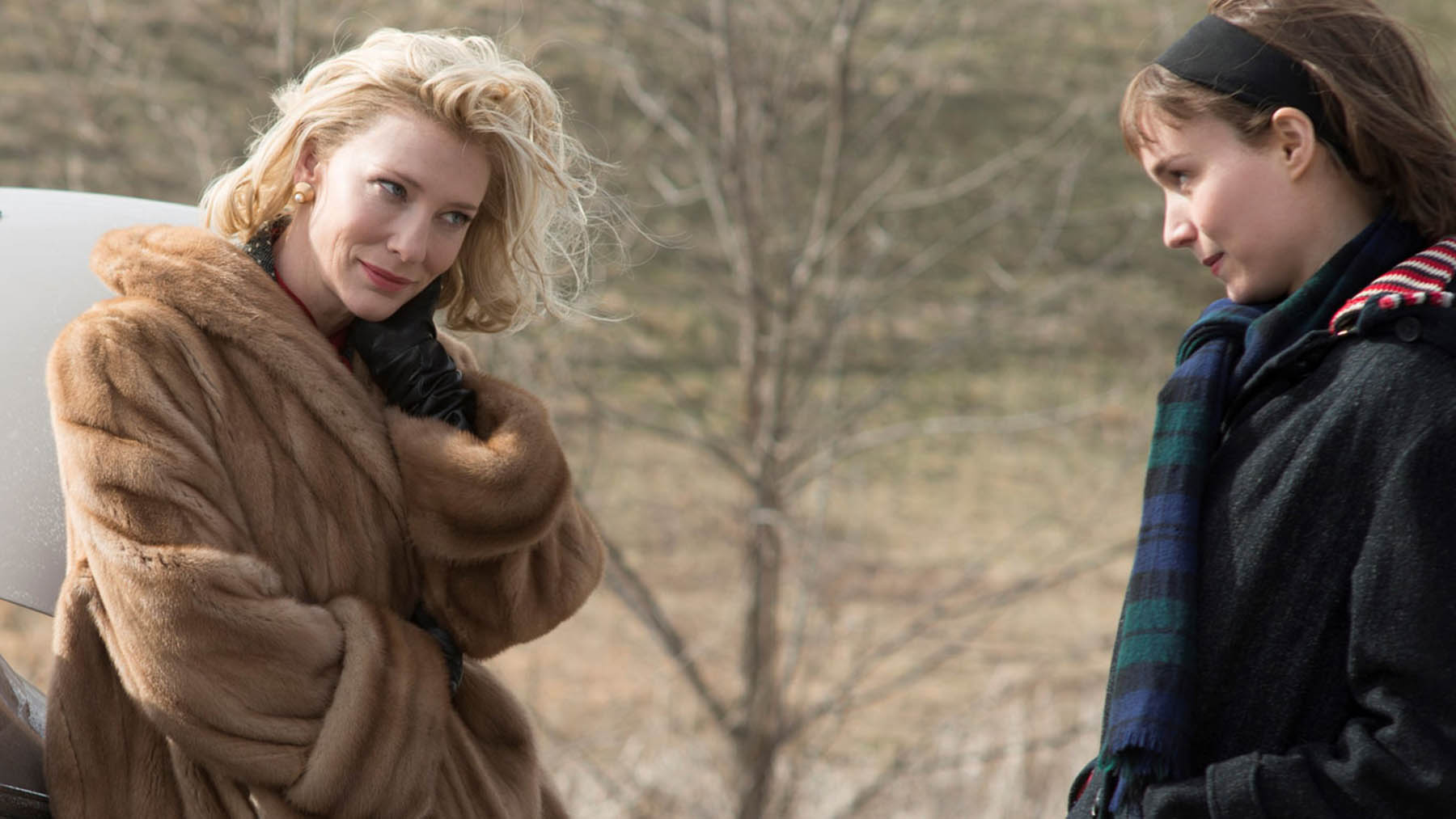 Todd Haynes dirigirá a Joaquin Phoenix en una historia romántica LGTBQ+