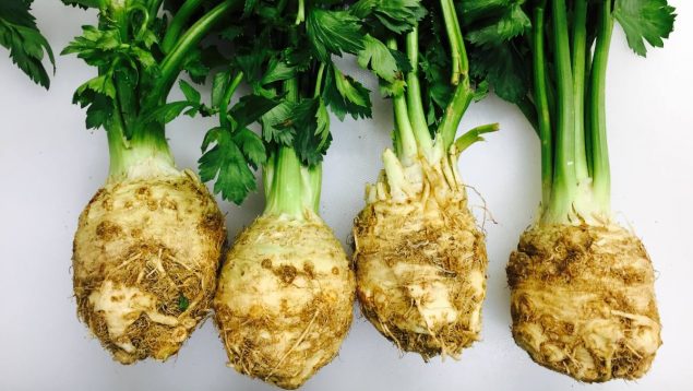 Ensalada de apionabo con queso feta y tomate