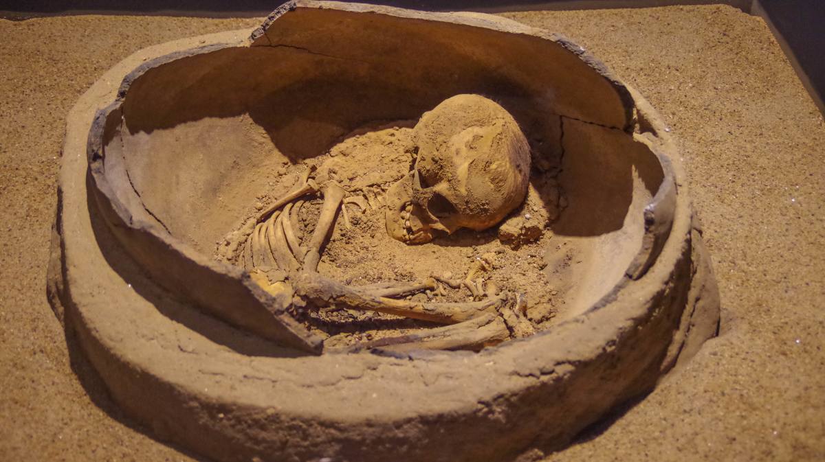 Arqueología, el niño de Lapedo