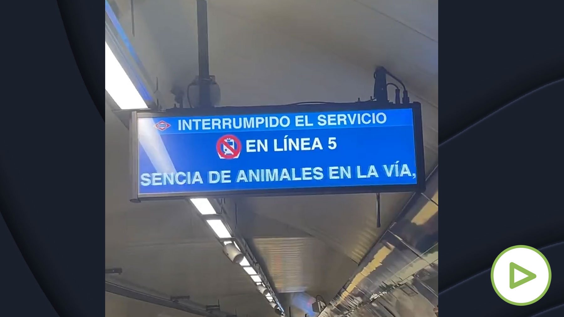 Un galgo se cuela en las vías del metro de Madrid e interrumpe la línea 5 durante más de dos horas