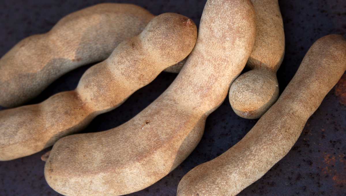 Pato con salsa de tamarindo y jengibre