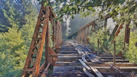 Wellington R Burt y su curioso testamento