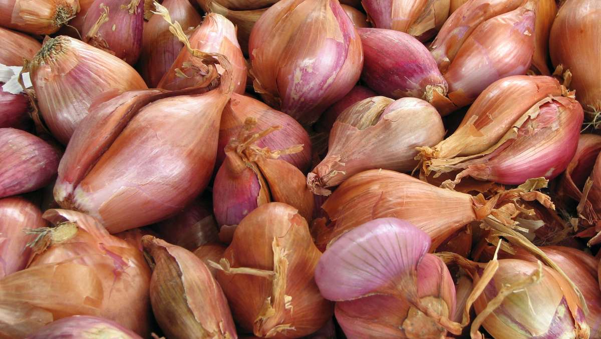 Salsa de chalotas y vino blanco para platos de carne