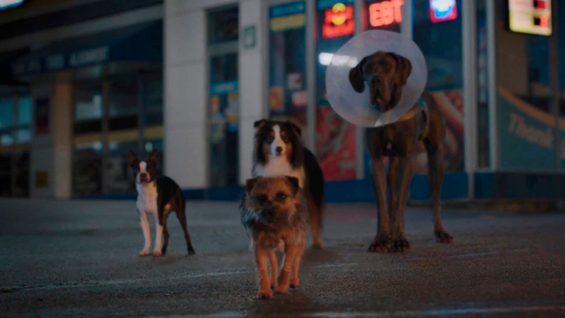 Que no te engañen: La película de perros 'cuquis' que parece para niños ...