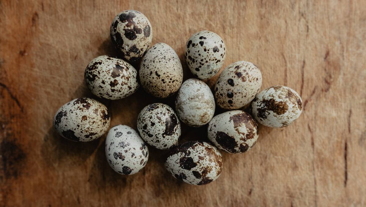 Huevos de codorniz al horno, receta fácil