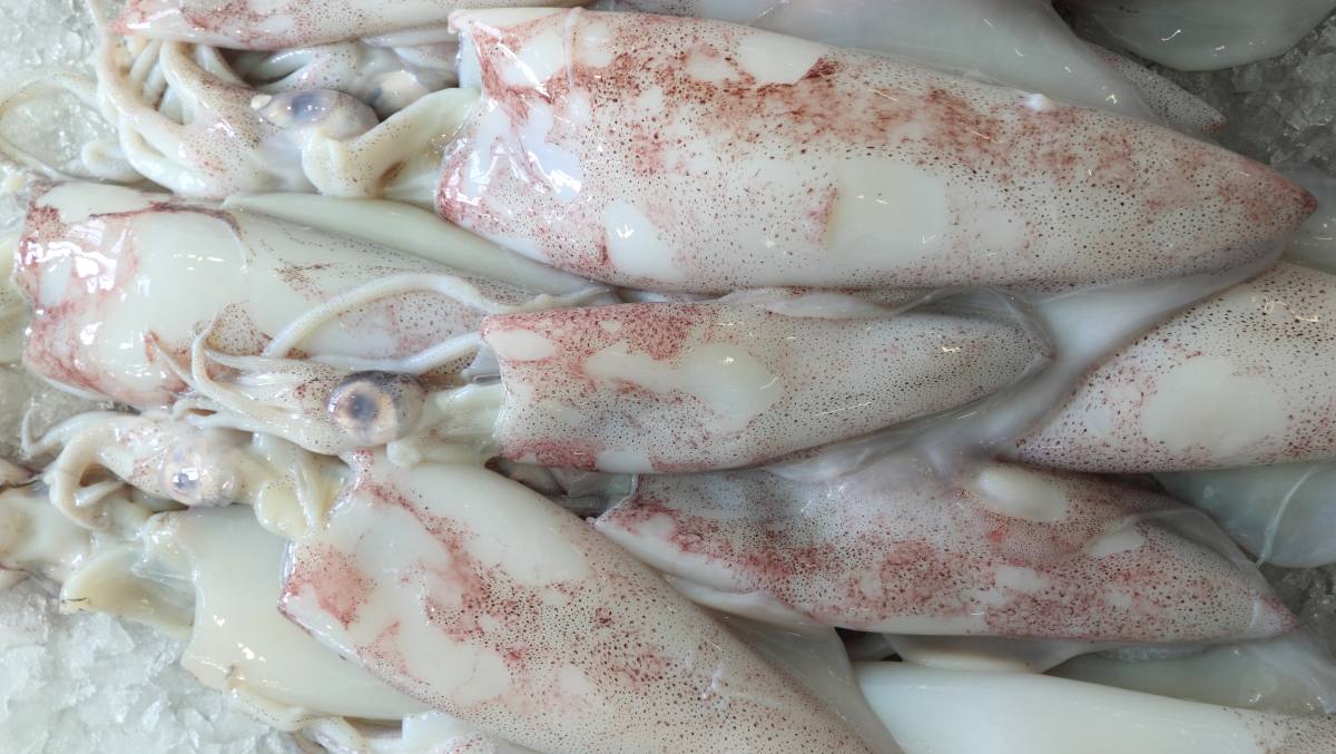 Receta de chipirones a la gallega