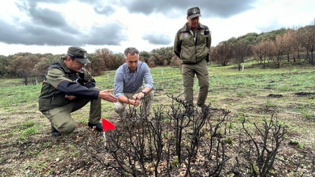 Entrevista a Carlos Novillo, consejero de Medio Ambiente en la ...