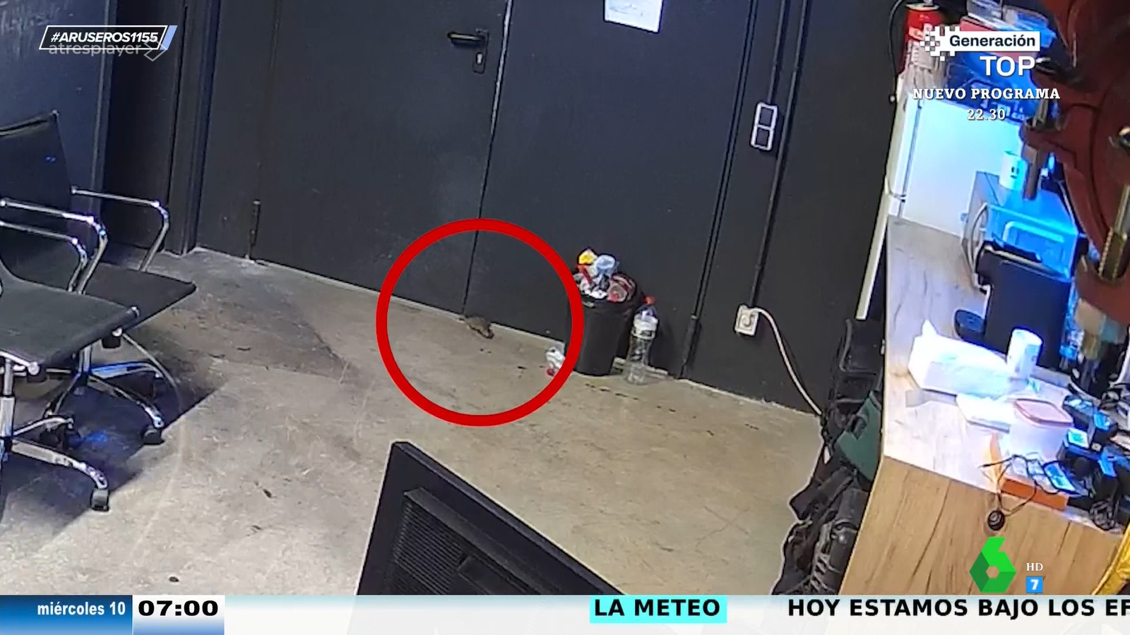 Una rata se cuela en el plató de Alfonso Arús ('Aruser@s') de laSexta