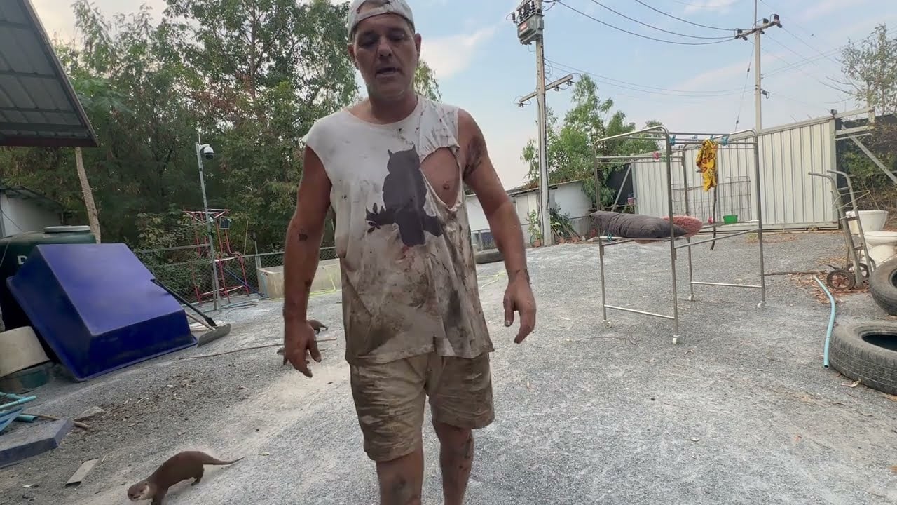 Frank Cuesta, brutalmente atacado en su santuario por un animal