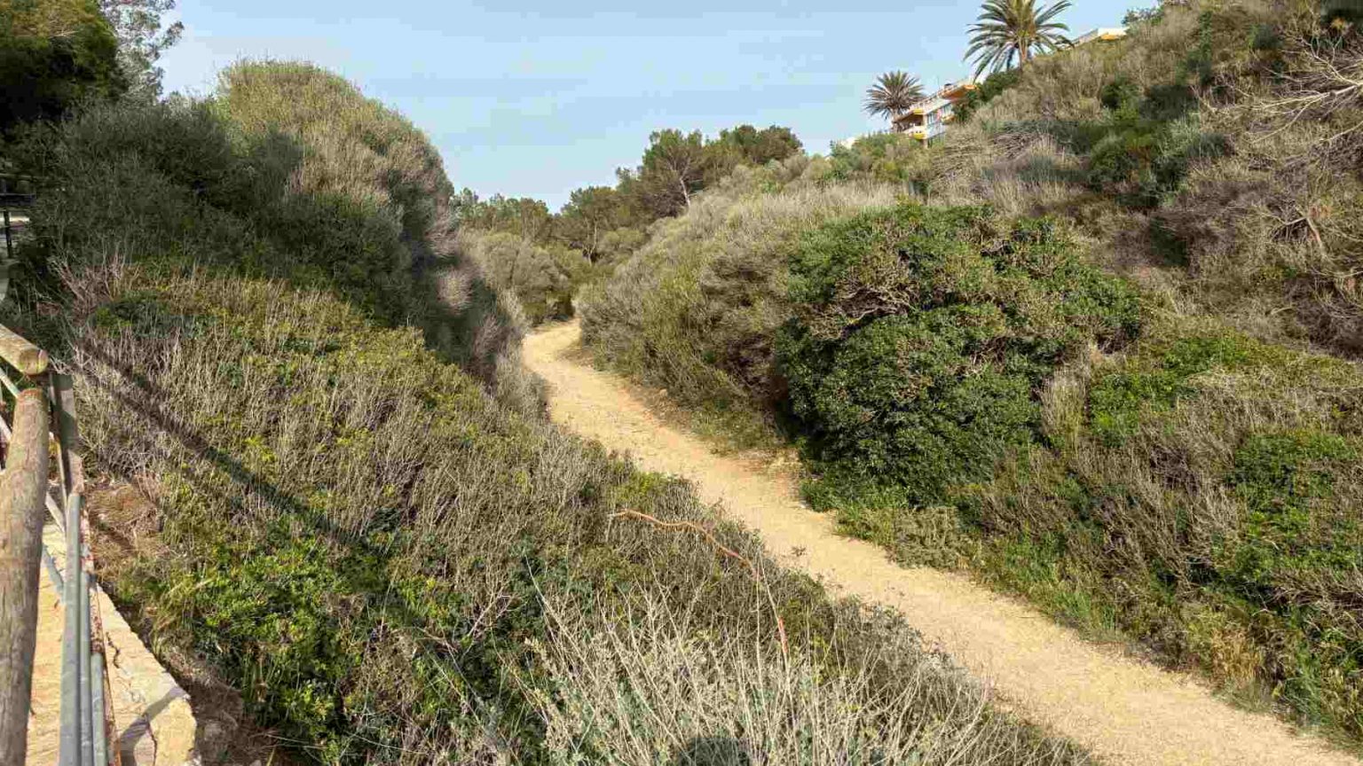 Cala Blava: su playa, qué hacer, actividades y cómo llegar