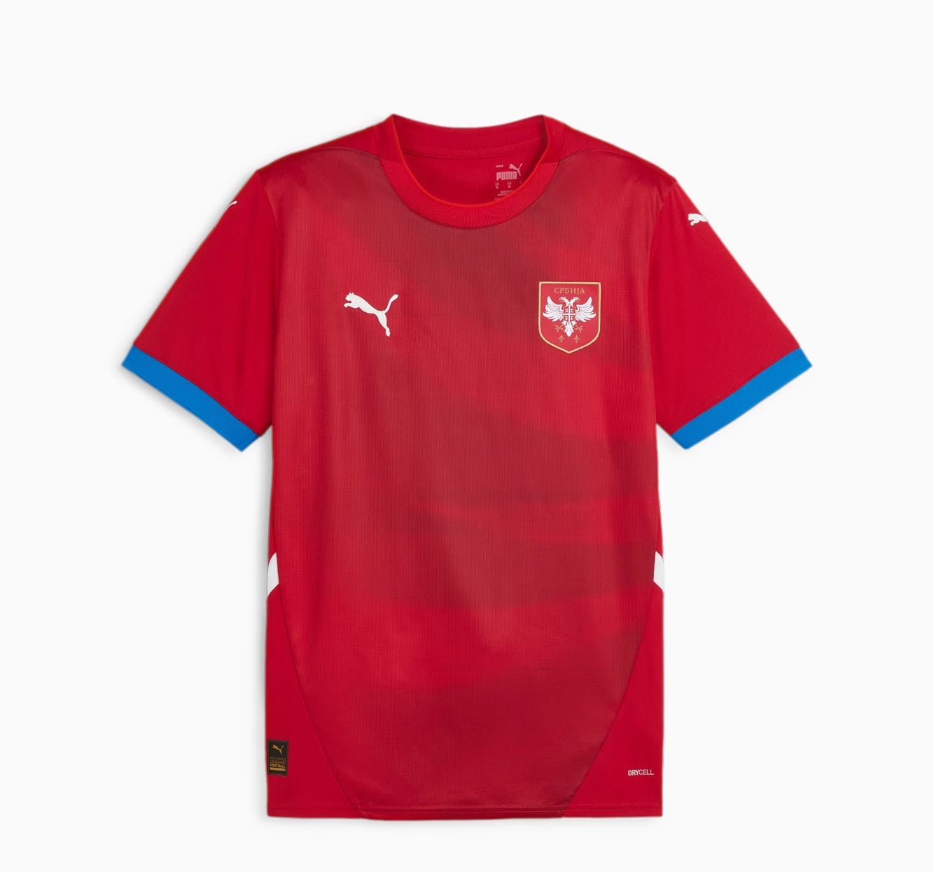 Selección de Serbia para la Eurocopa 2024: jugadores, entrenador y ...