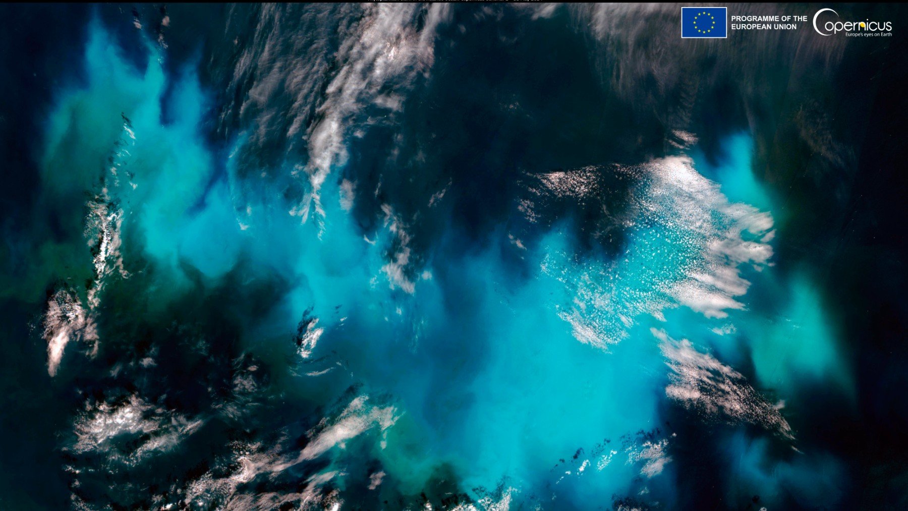 Descubren porqué el 56% de los océanos está cambiando de color