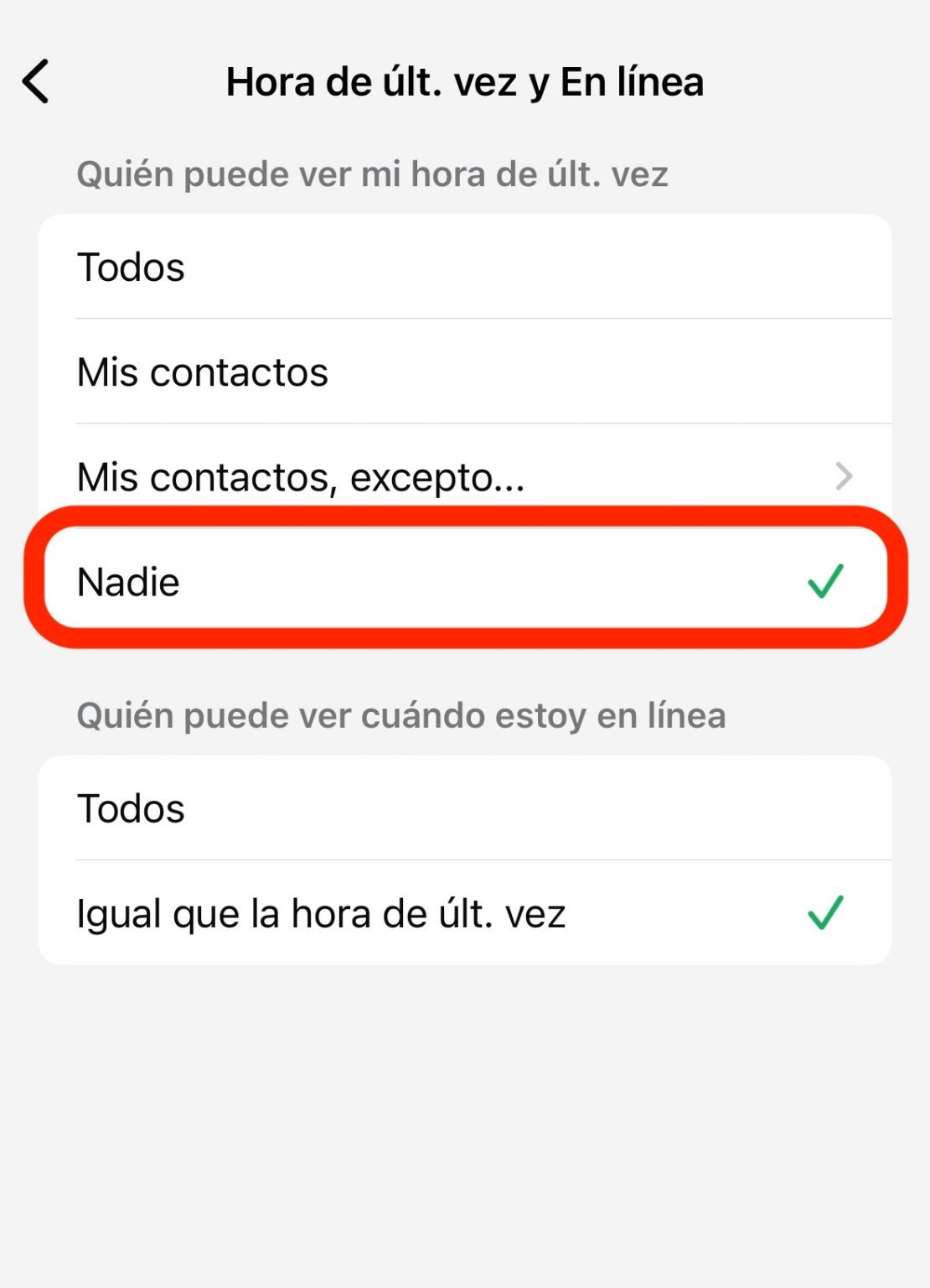 This is what 'ghost mode' looks like on WhatsApp: it can be activated ...