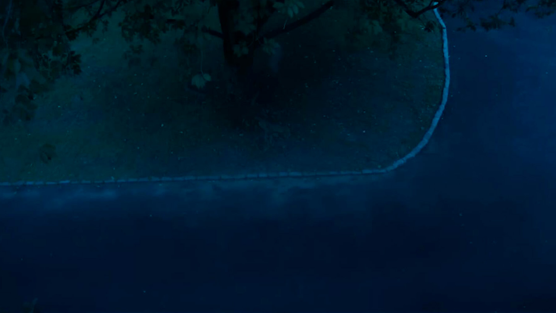 Nuevo adelanto de 'Presence': la película filmada desde la perspectiva ...