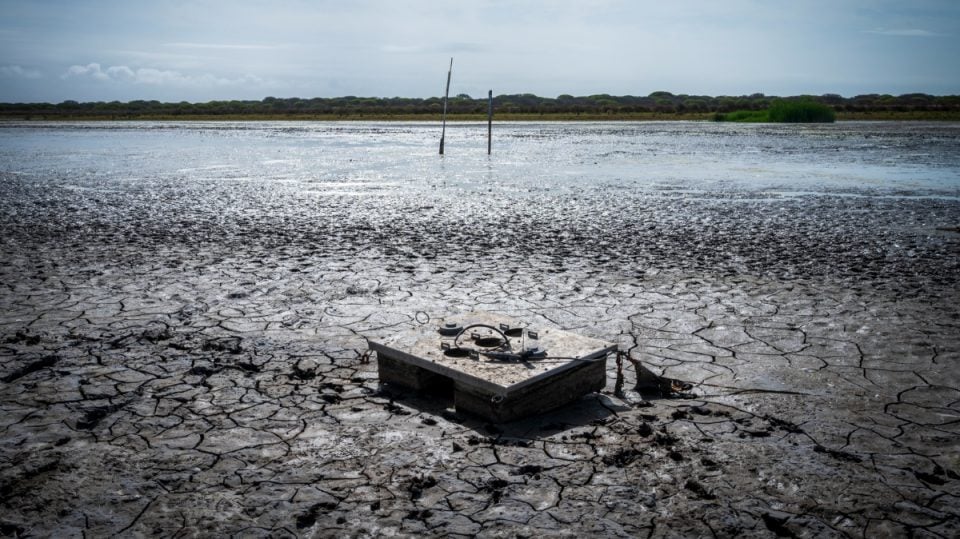 Así se ve la marisma de Doñana desde el espacio con las intensas lluvias