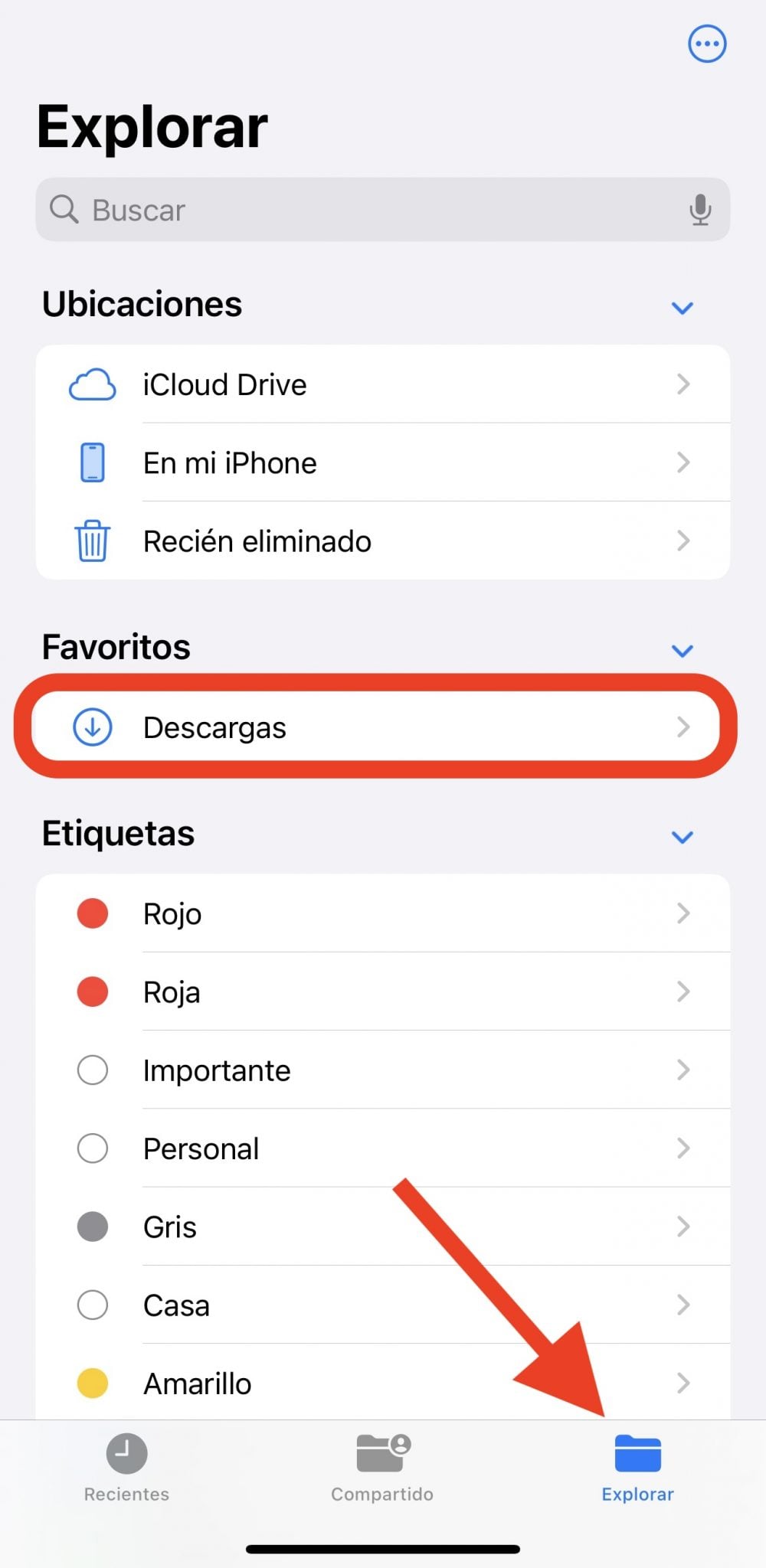 Cómo ver las descargas en un iPhone: aquí se guardan tus archivos