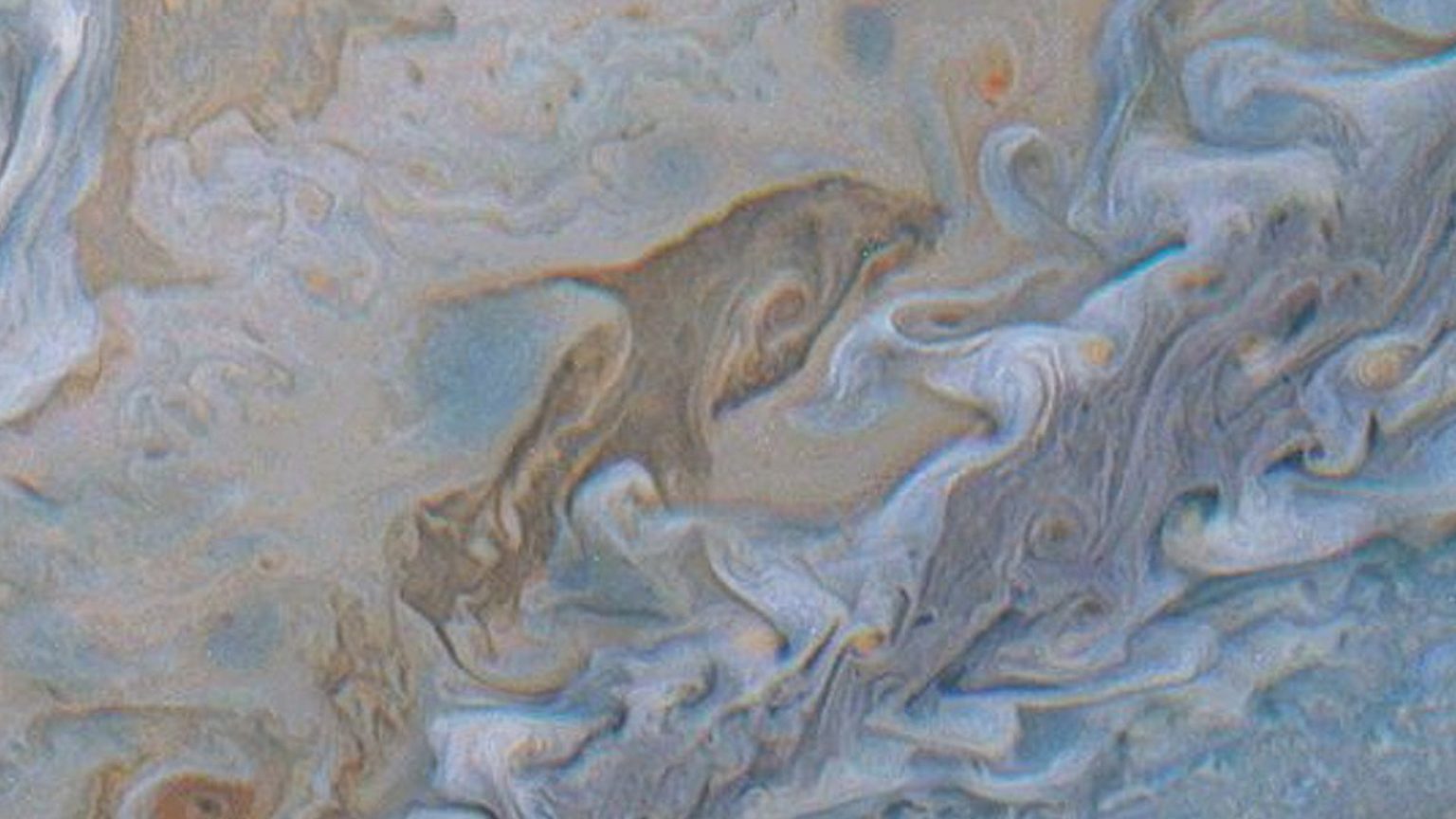 Hallazgo impactante: una sonda de la NASA fotografía un delfín en la ...