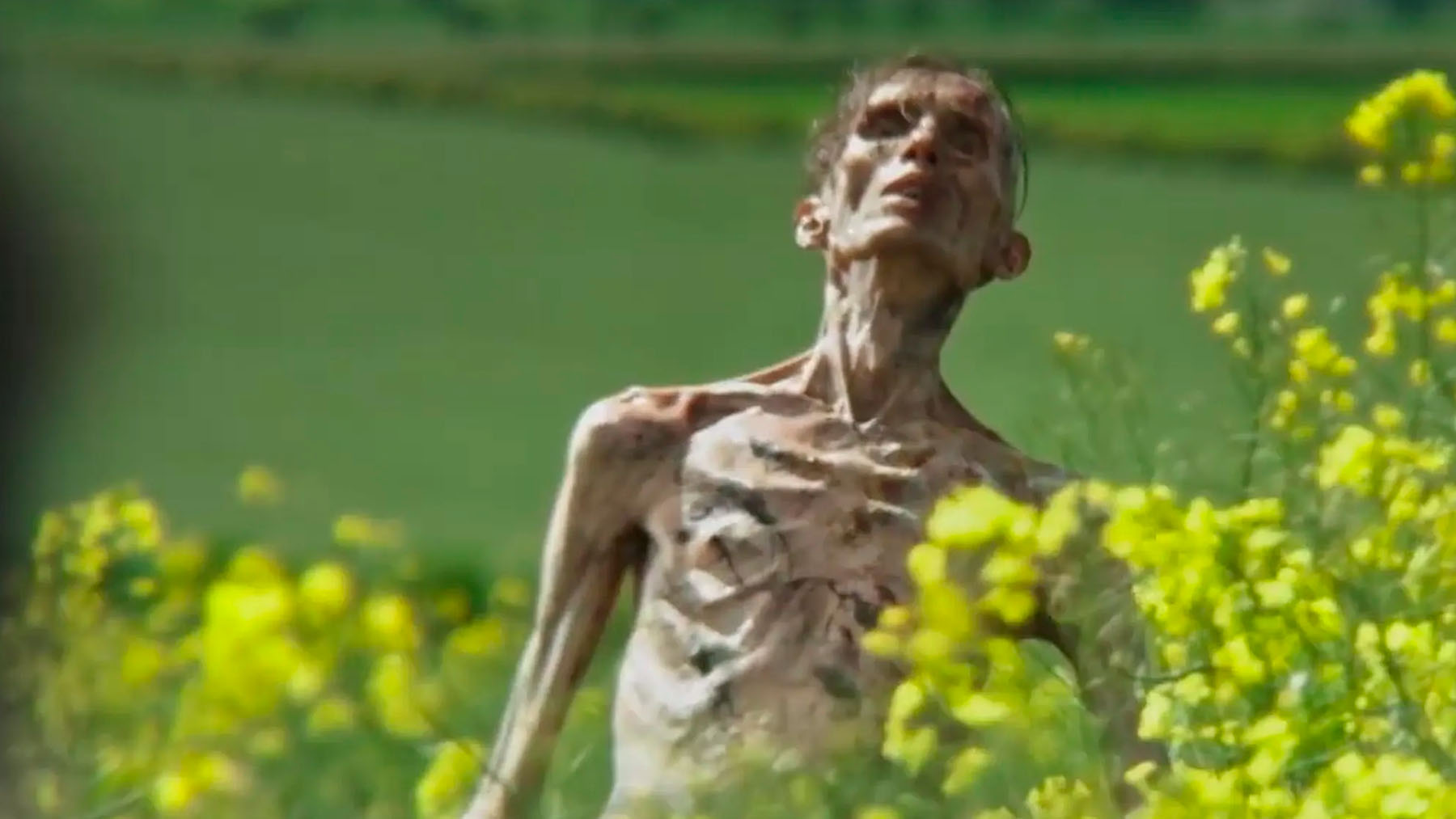 Primer tráiler de '28 años después': la humanidad no se ha recuperado ...