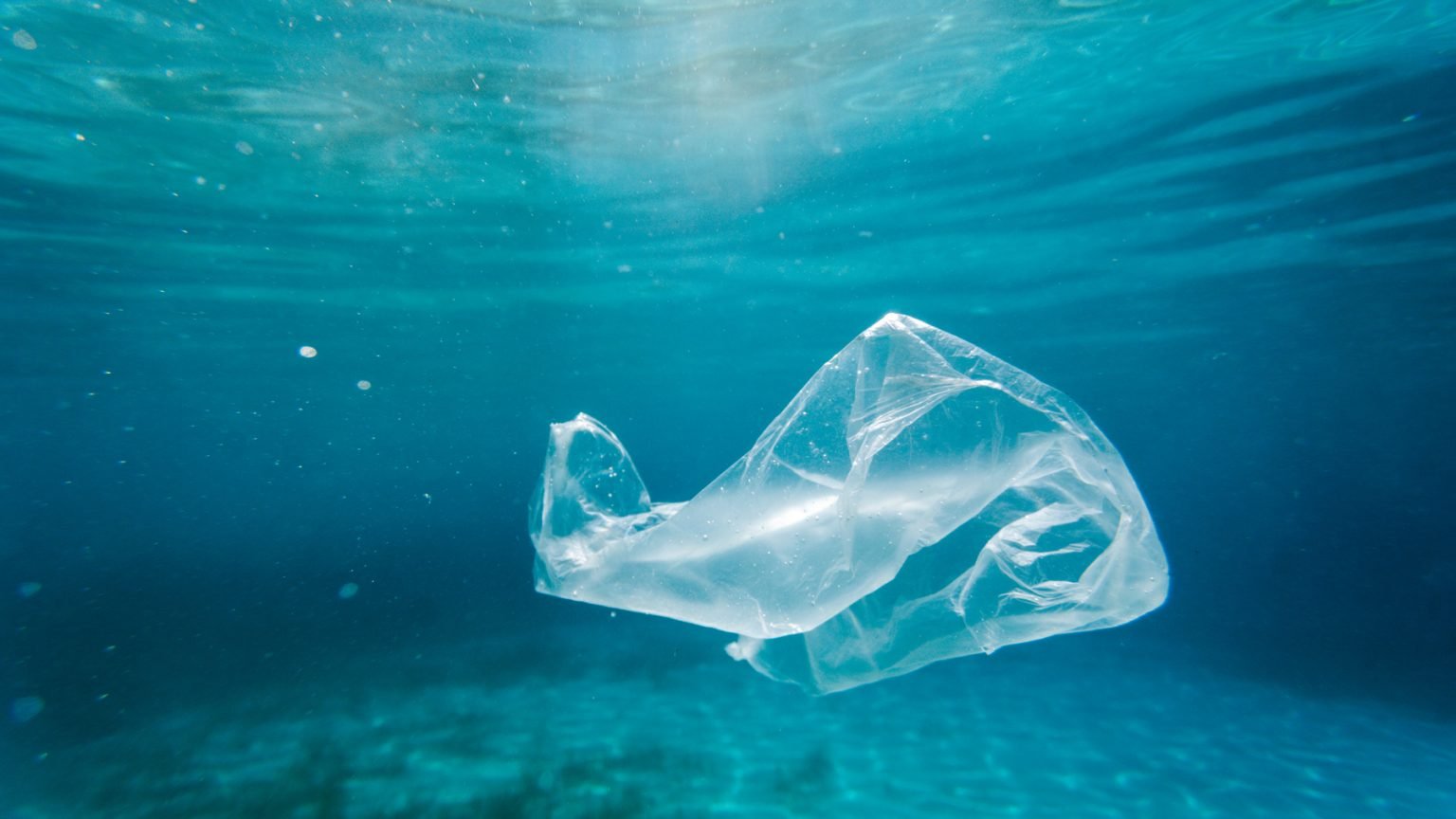 La Revolución de los Materiales: Creando plásticos biodegradables a ...