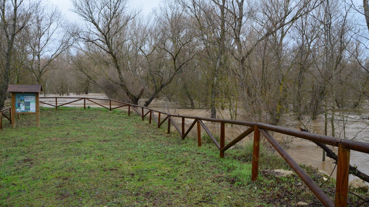 Más agua en Doñana, Jarama y Albufera gracias a Heineken