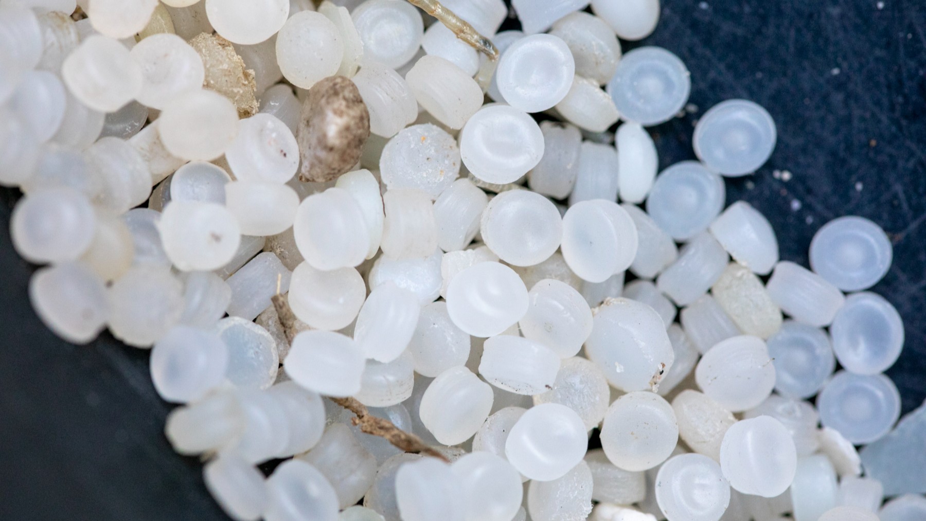 Crisis de pélets en Galicia: ¿Quién pagará los 2,3 millones de gastos?