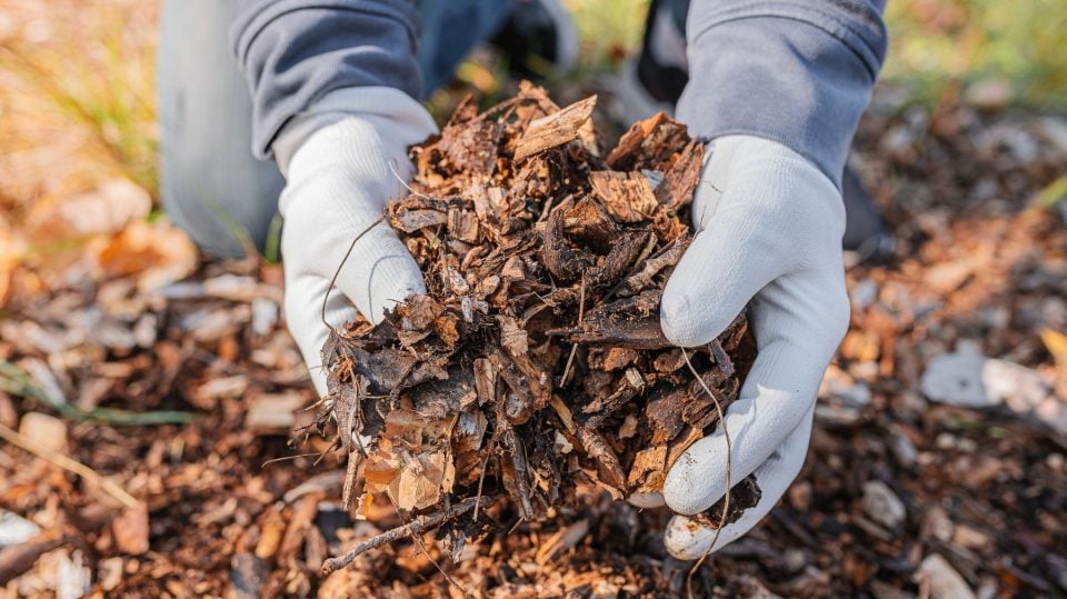 No es lo mismo biodegradable que compostable: te contamos la diferencia