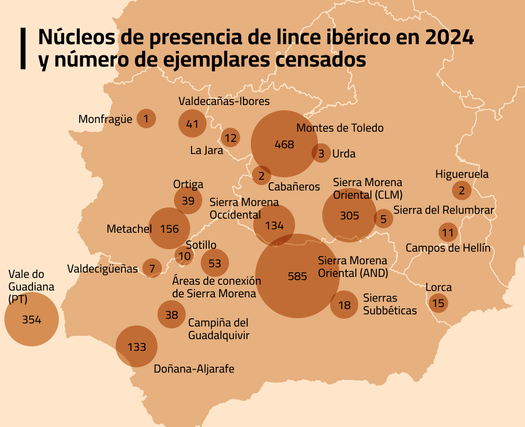 El lince ibérico se expande un año más en España y Portugal