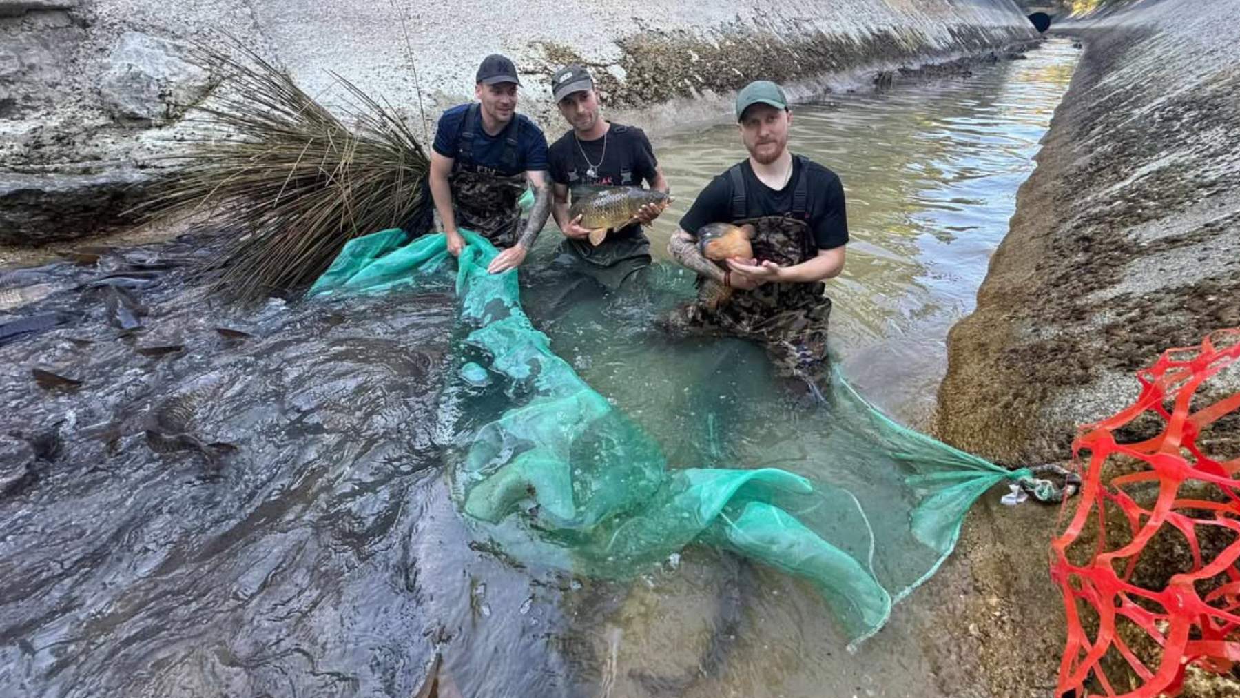 Peces atrapados por decisión 'negligente' de Confederación del Tajo