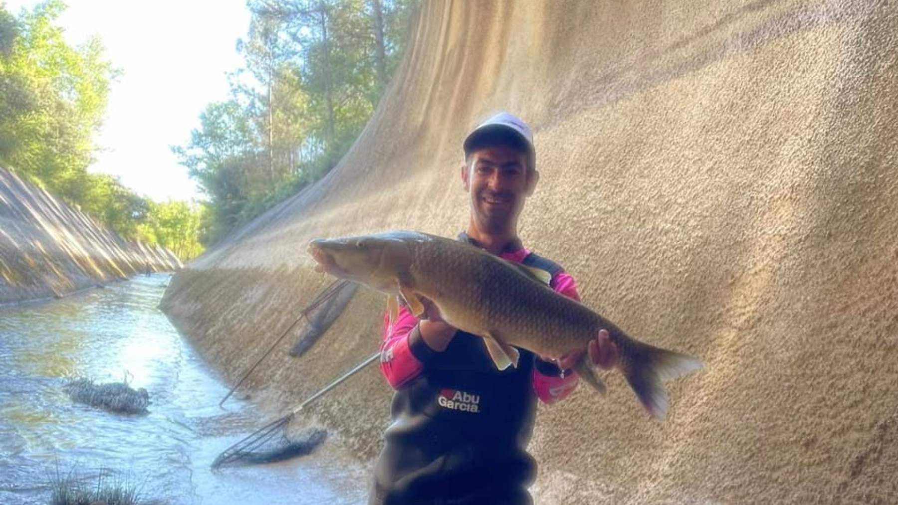 Peces atrapados por decisión 'negligente' de Confederación del Tajo
