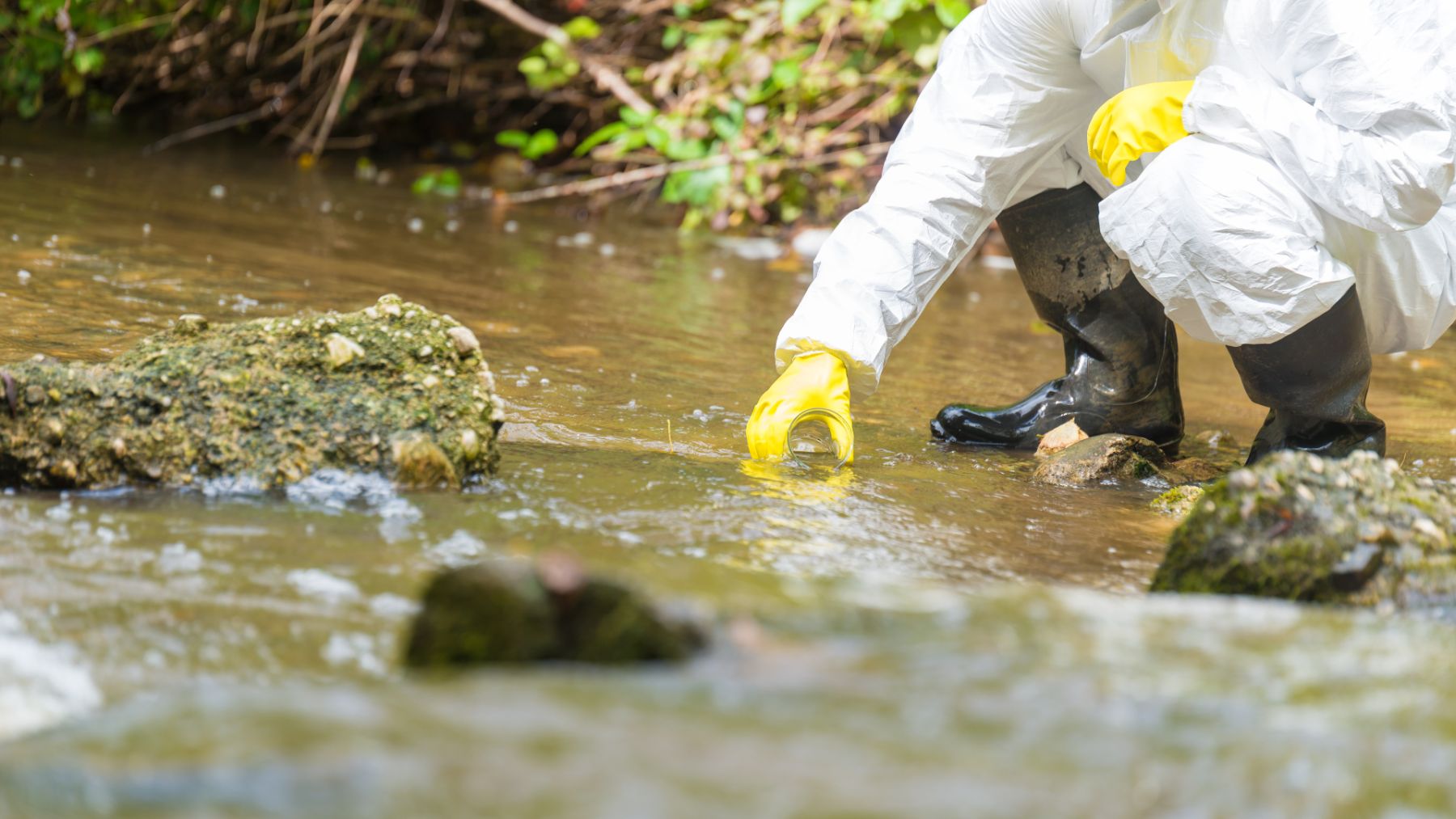 Europa: de brazos cruzados ante los PFAS o tóxicos eternos