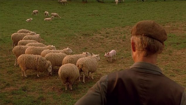 'Babe, el cerdito valiente' cumple 30 años: 5 curiosidades que quizás ...