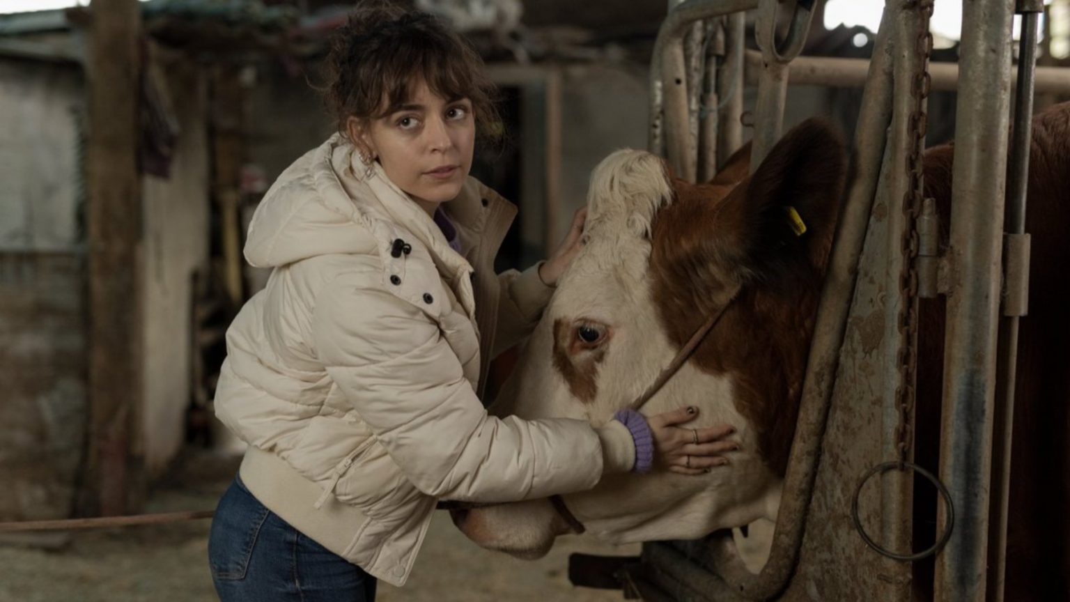 'Animal': tráiler y fecha de estreno de la nueva serie de Luis Zahera que no te puedes perder