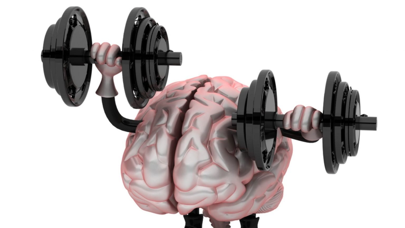 ¿Se puede entrenar el cerebro? Neuroplasticidad, edades, ejercicios